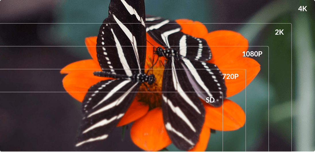 Magewell Capture Express V3.2 ¦ Record and Preview input sources